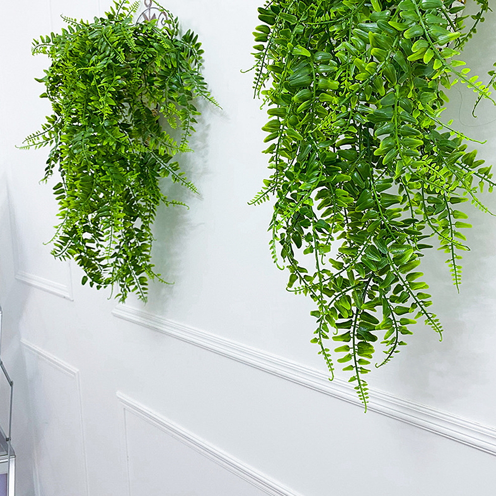 08 看图王 - ImageHub - 图仓