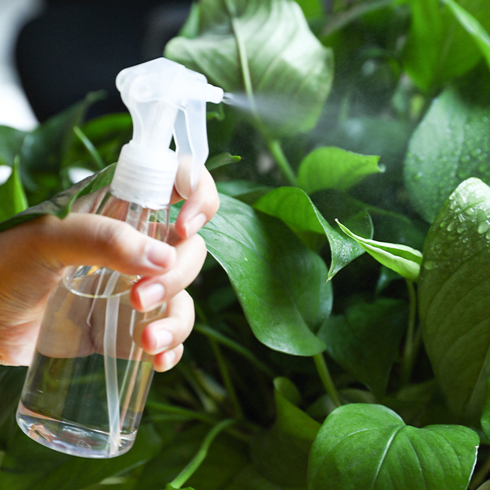 16 看图王 - ImageHub - 图仓