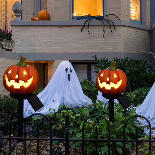 15 看图王 - ImageHub - 图仓