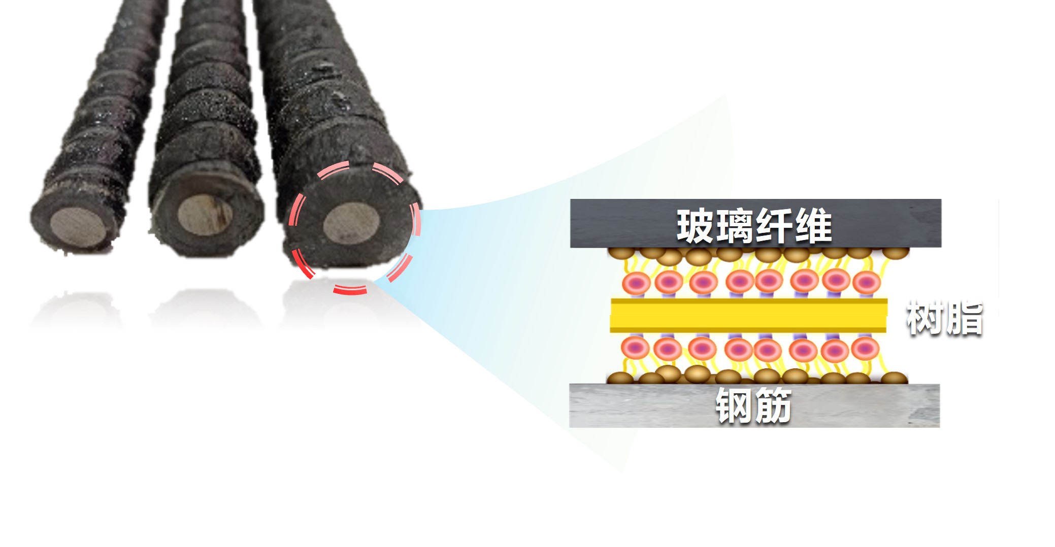 图片3 - ImageHub - 图仓