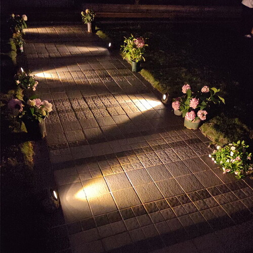 17 看图王 - ImageHub - 图仓