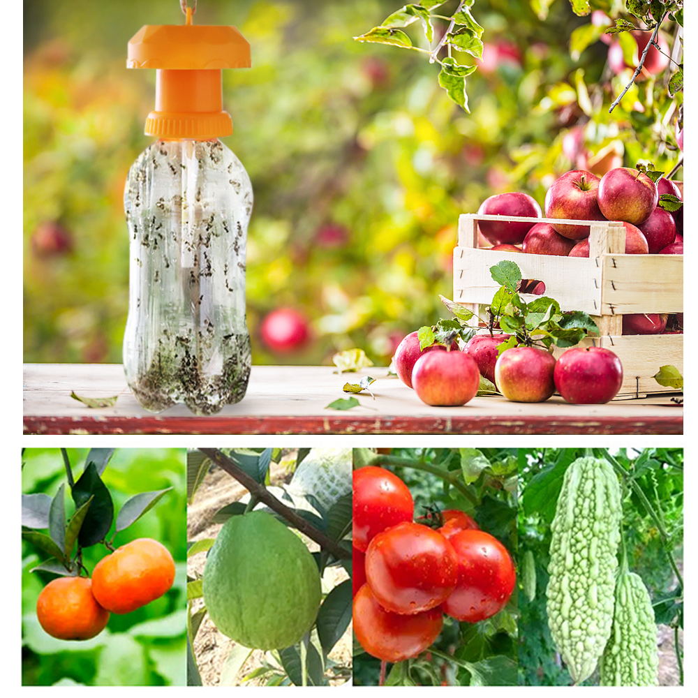 14 看图王 - ImageHub - 图仓