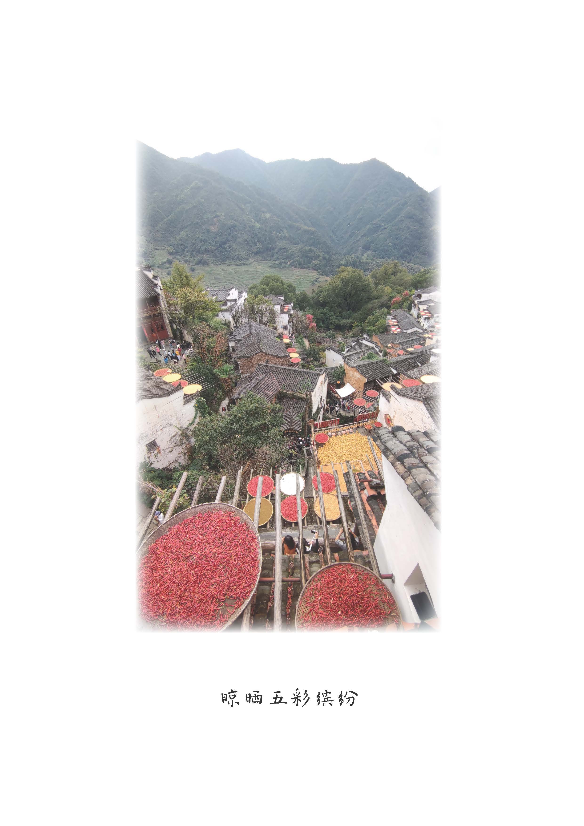 相册 页面 32 - ImageHub - 图仓